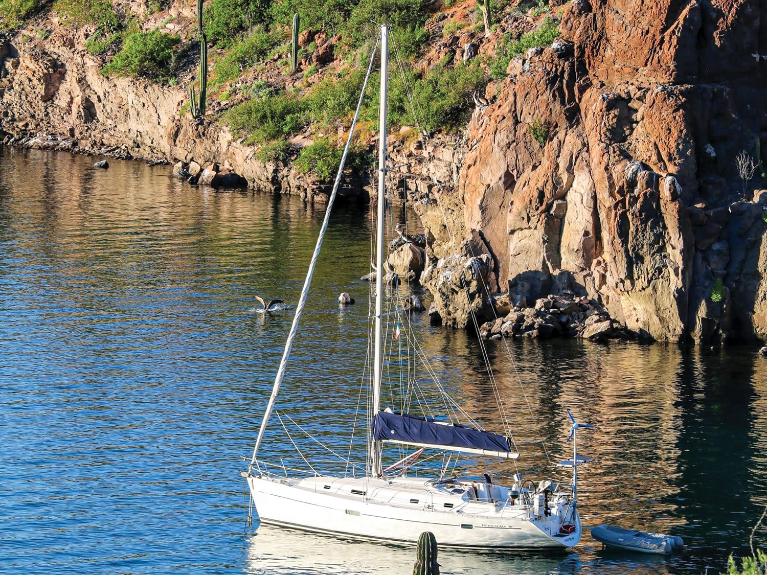 Point of View: Boat for Sale