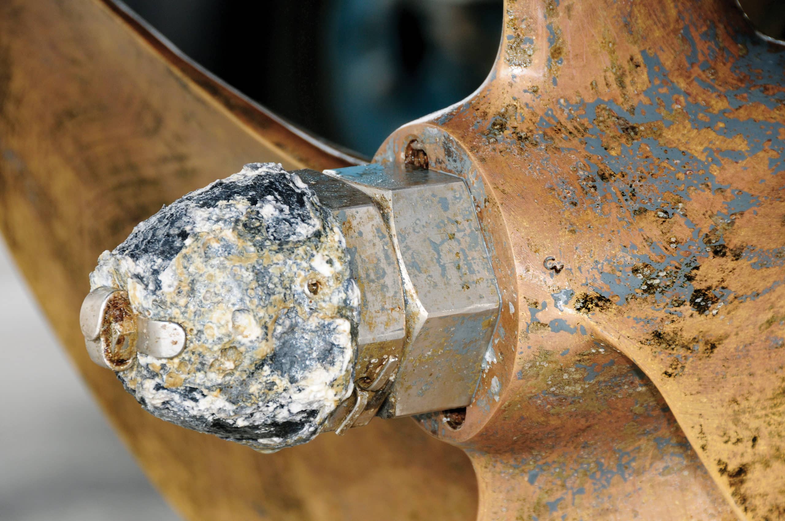 What Is A Sacrificial Anode