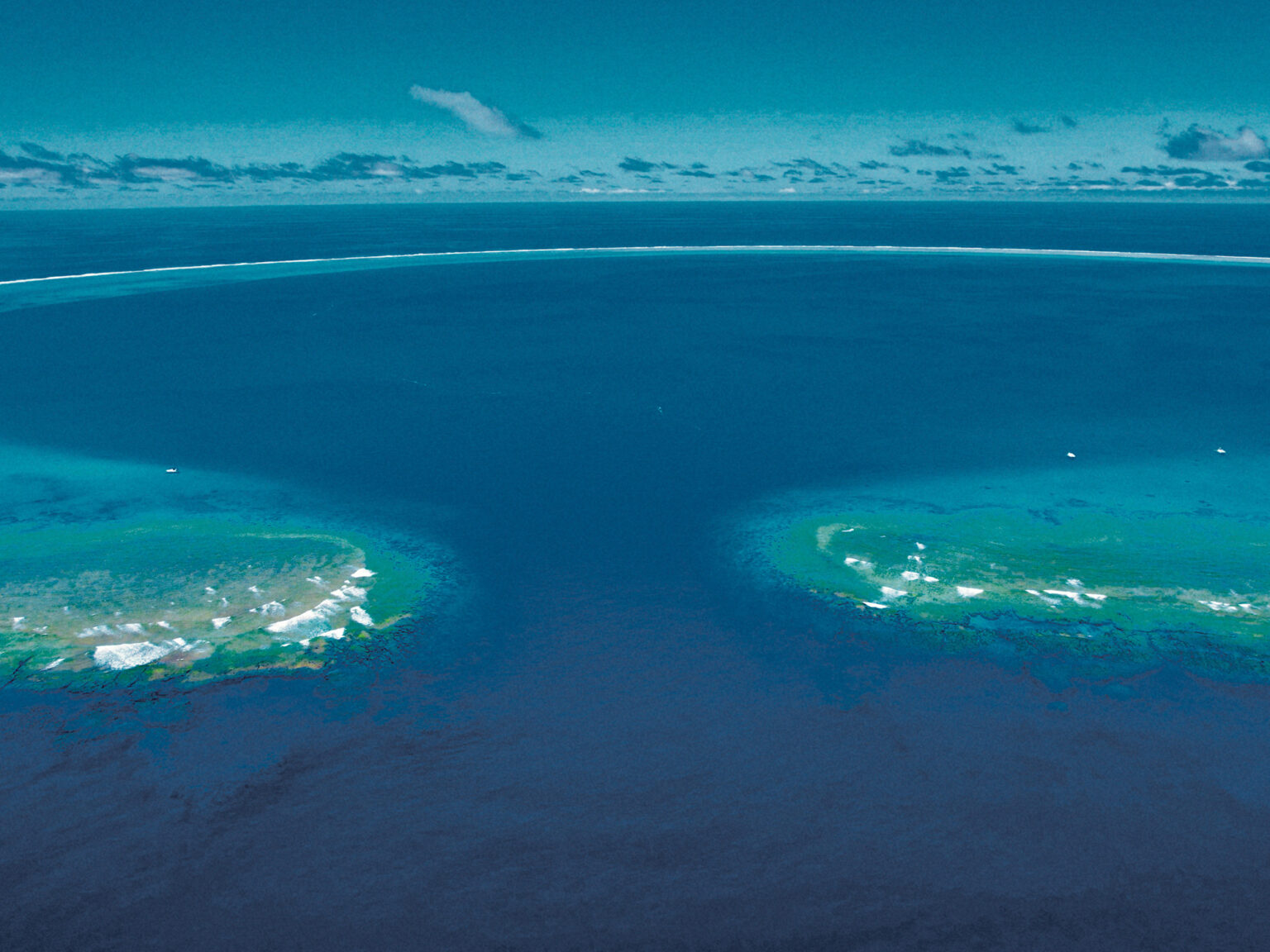 Minerva Reef: An Underwater Oasis in the South Pacific